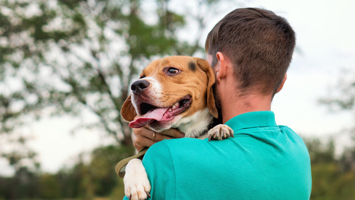 Emotional Support Animals - SOU Disability Resources